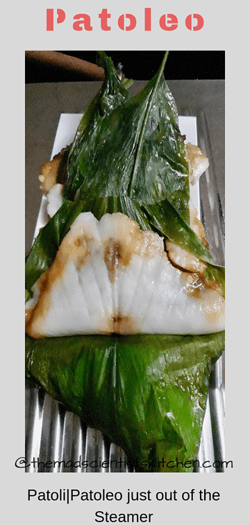 Patoli for Nag Panchmi -msk