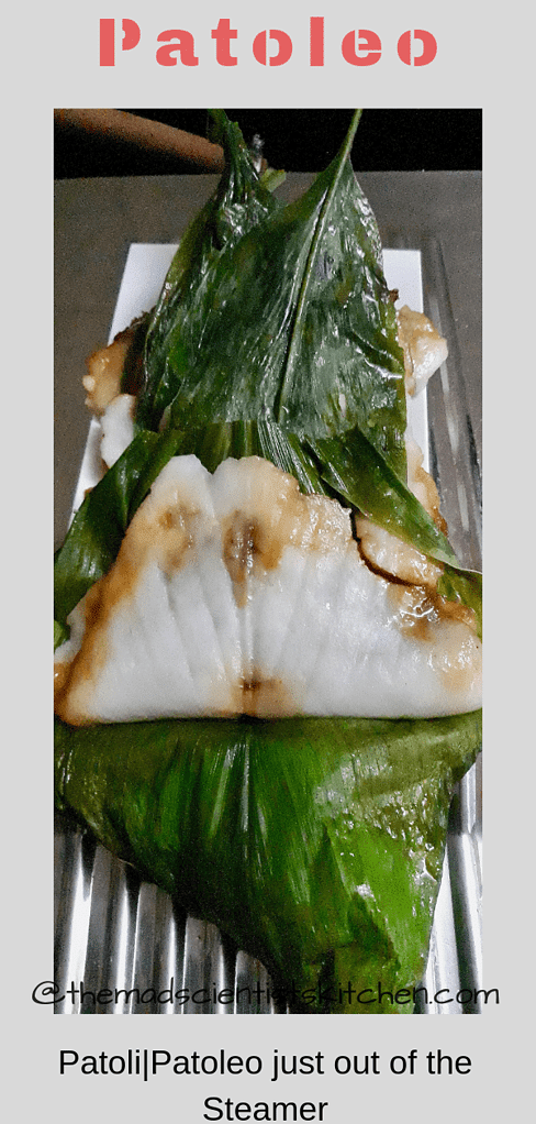 Patoli for Nag Panchmi -msk