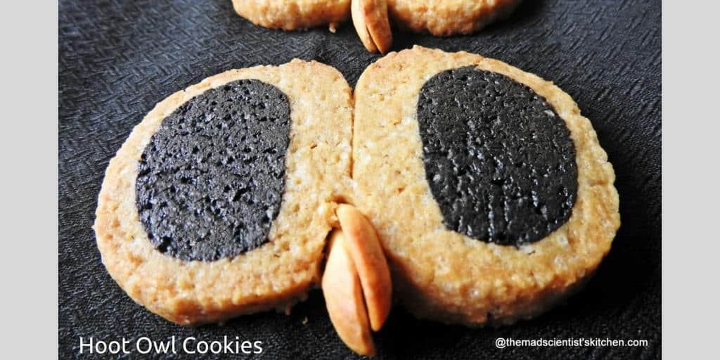 Hoot Owl Cookies for Halloween - The Mad Scientists Kitchen
