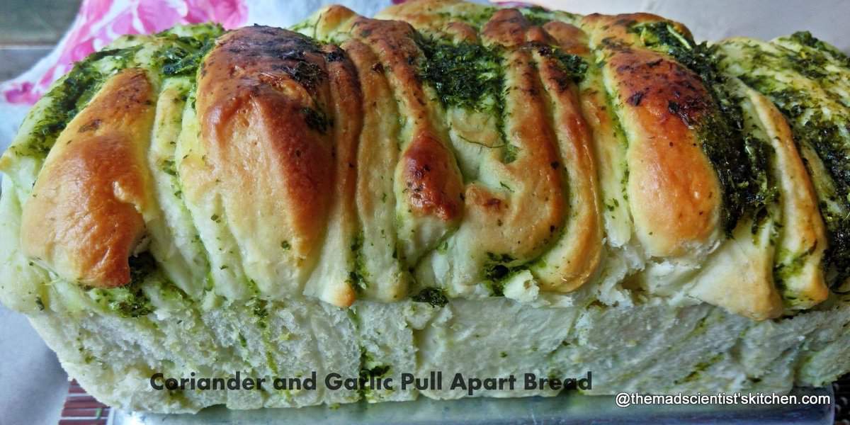 Coriander and Garlic Pull Apart Bread - The Mad Scientists Kitchen