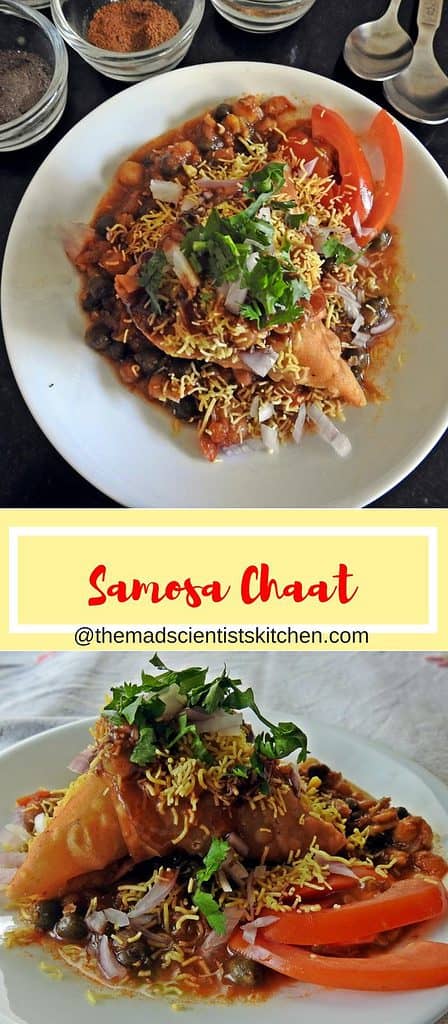 Samosa Chaat Recipe- The Mad Scientist's Kitchen
