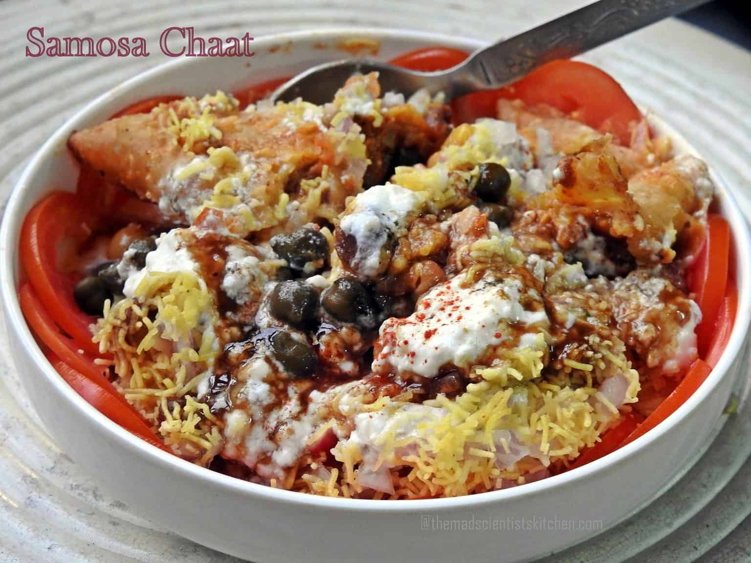 Samosa Chaat Recipe- The Mad Scientist's Kitchen