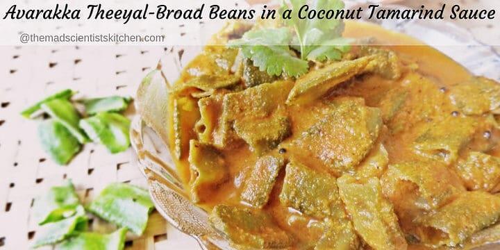 Broad Beans in a Coconut Tamarind Sauce