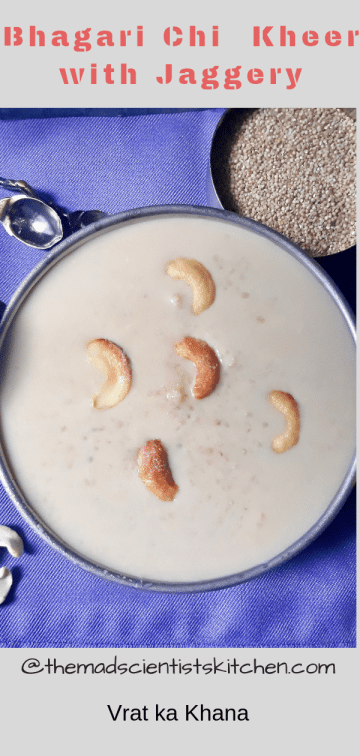 Bhagari Chi Kheer with Jaggery - The Mad Scientists Kitchen