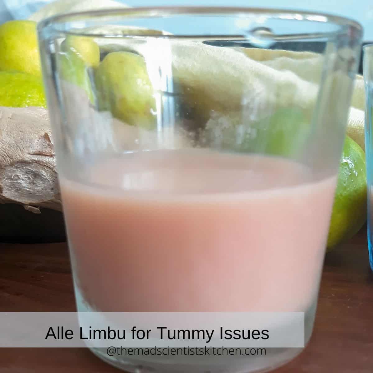 Monsoon Special: Alle Limbu | The Mad Scientists Kitchen