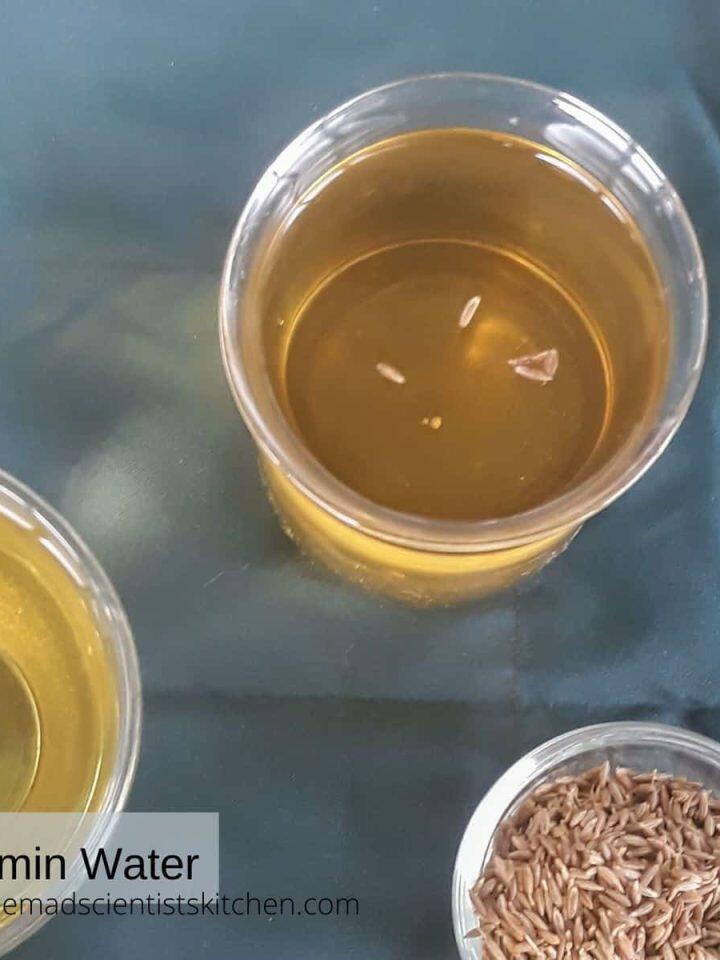 Kashai Recipe, a Traditional Medicine | The Mad Scientists Kitchen