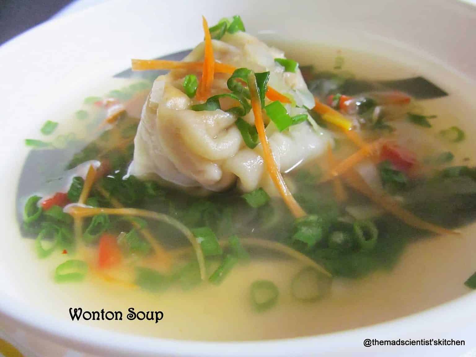Vegetarian Wonton Soup Recipe - The Mad Scientists Kitchen
