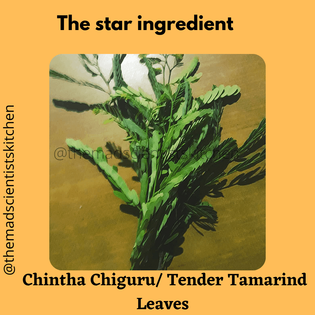 Tender Tamarind Leaves Pachadi Recipe |The Mad Scientists Kitchen