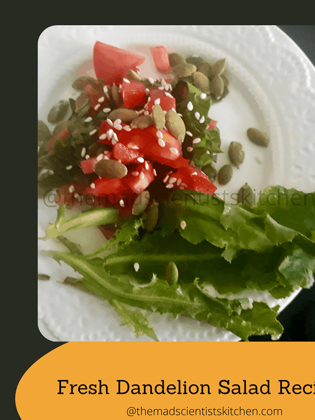 Watli Dal Recipe| The Mad Scientists Kitchen