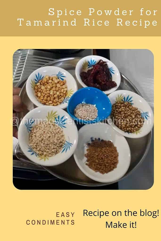 Puliyodharai Recipe |The Mad Scientists Kitchen