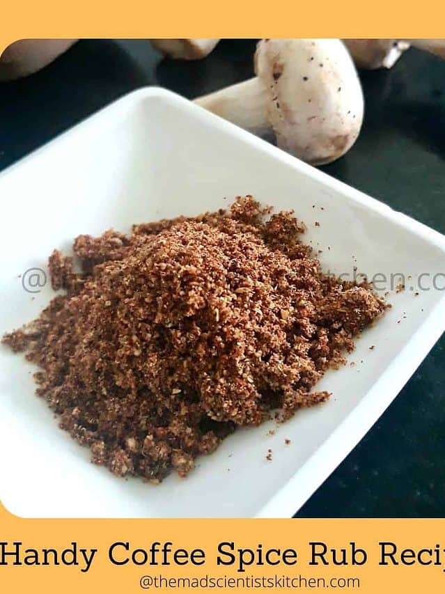 Chibud, a Fruit from Goa - The Mad Scientists Kitchen
