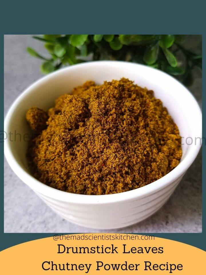 Dry Garlic Chutney Recipe - The Mad Scientists Kitchen