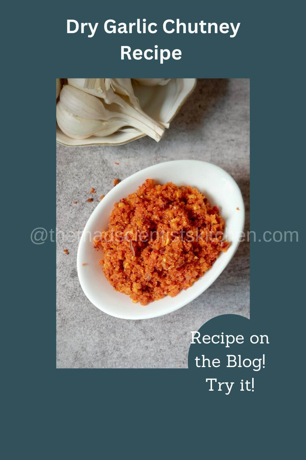 Dry Garlic Chutney Recipe - The Mad Scientists Kitchen